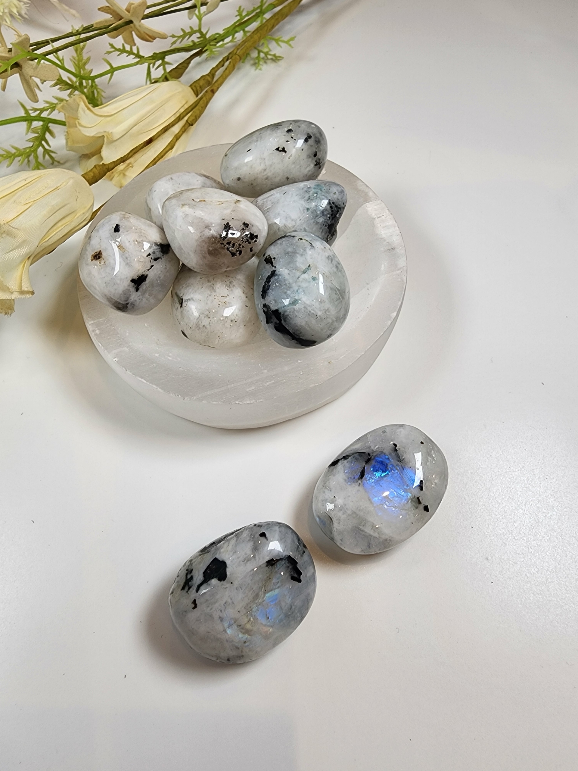 Moonstone Tumble - Crystal Creatures | Crystals Online Sales