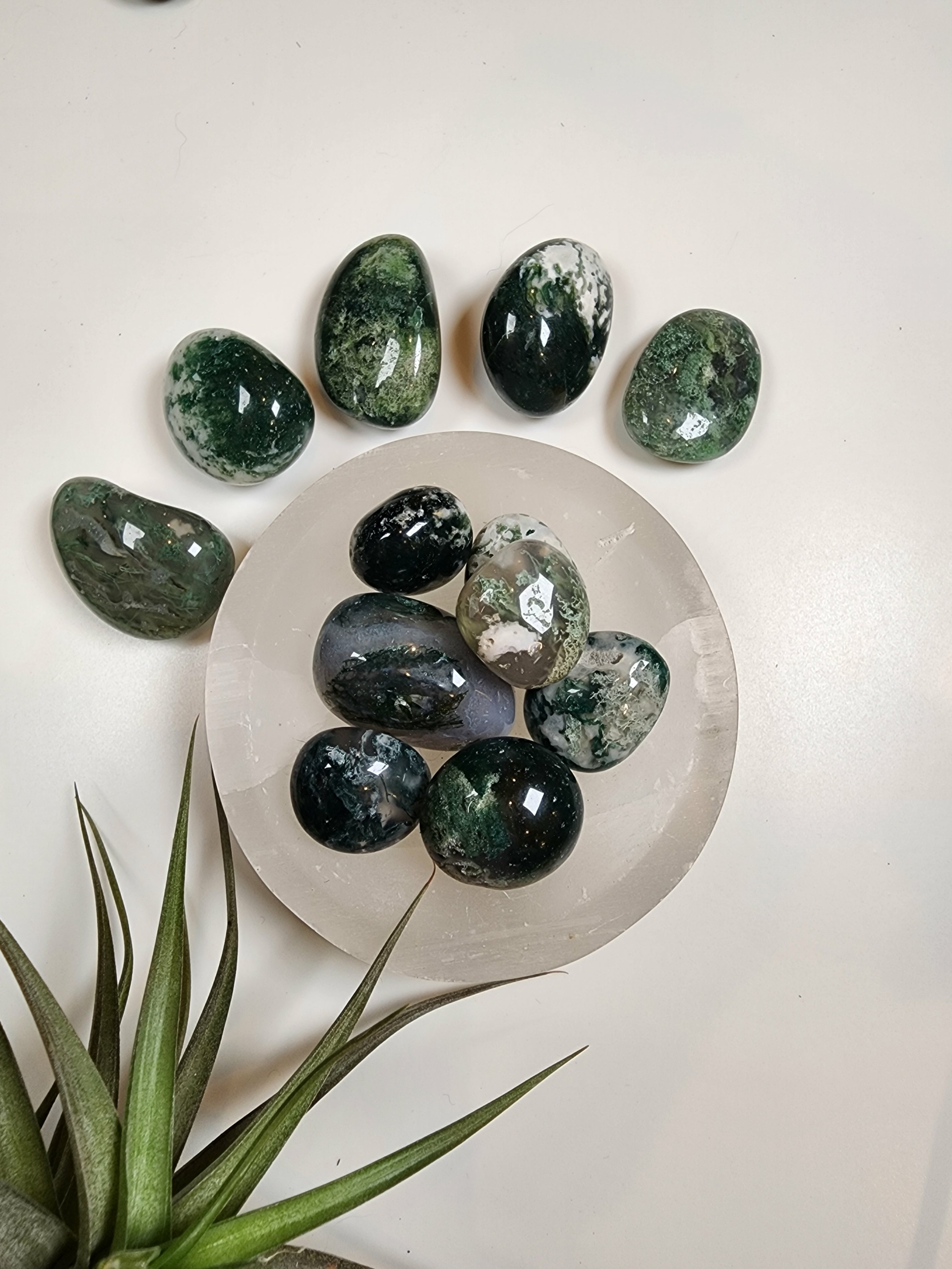 Moss Agate Tumble - Crystal Creatures | Crystals Online Sales